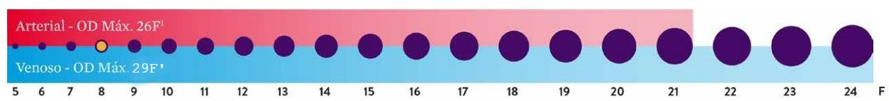 Perclose Proglide Suture-Mediated Closure System Overview | Abbott