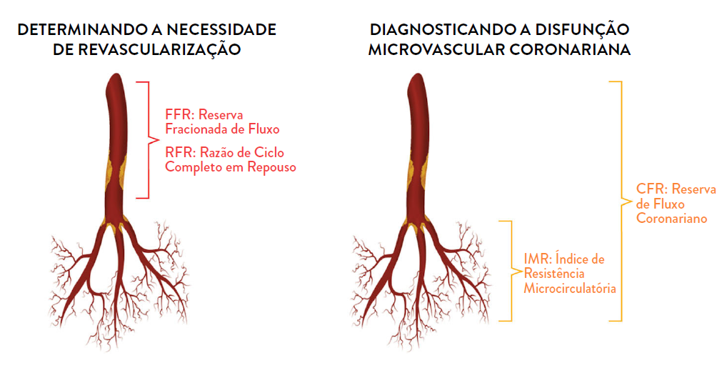Coroflow - Sobre - Brasil